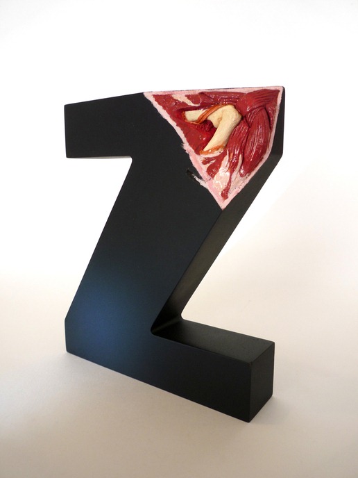 Evolution of Type: Anatomy of Typography | Amusing Planet